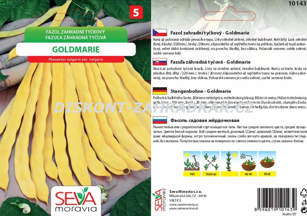 10143/x Fazol Goldmarie 15g :: Diskont-zahrádkář