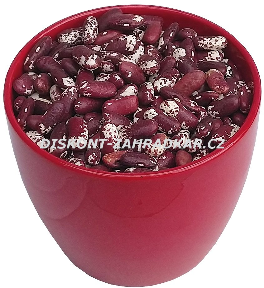 Fazole barevné malé 1kg :: Diskont-zahrádkář