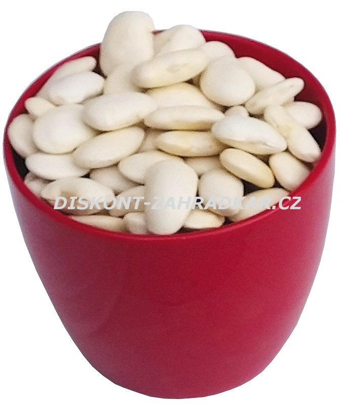 Fazole bílé velké 1kg :: Diskont-zahrádkář